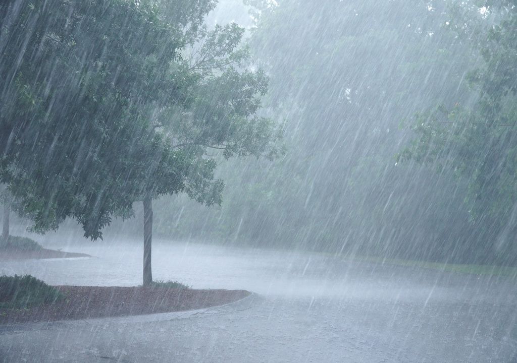 Lluvias Ya Son Mayores Que Las Registradas 2021 La Voz De Xela lluvias-ya-son-mayores-que-las-registradas-2021-la-voz-de-xela