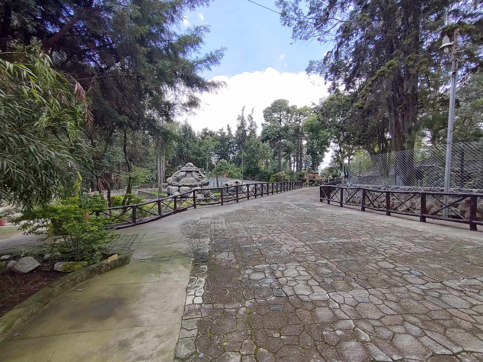 Zoológico Minerva: Ojalá solo sea encierro y estrés, y no hambre ...